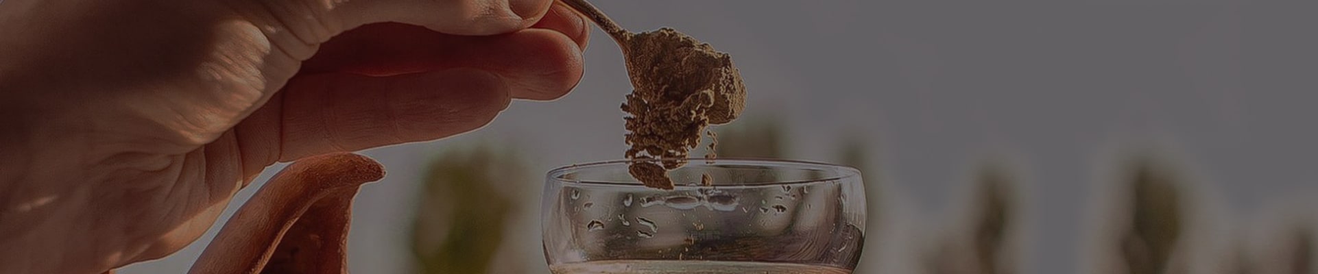 What Are the Effects of Mixing Kratom and Alcohol?